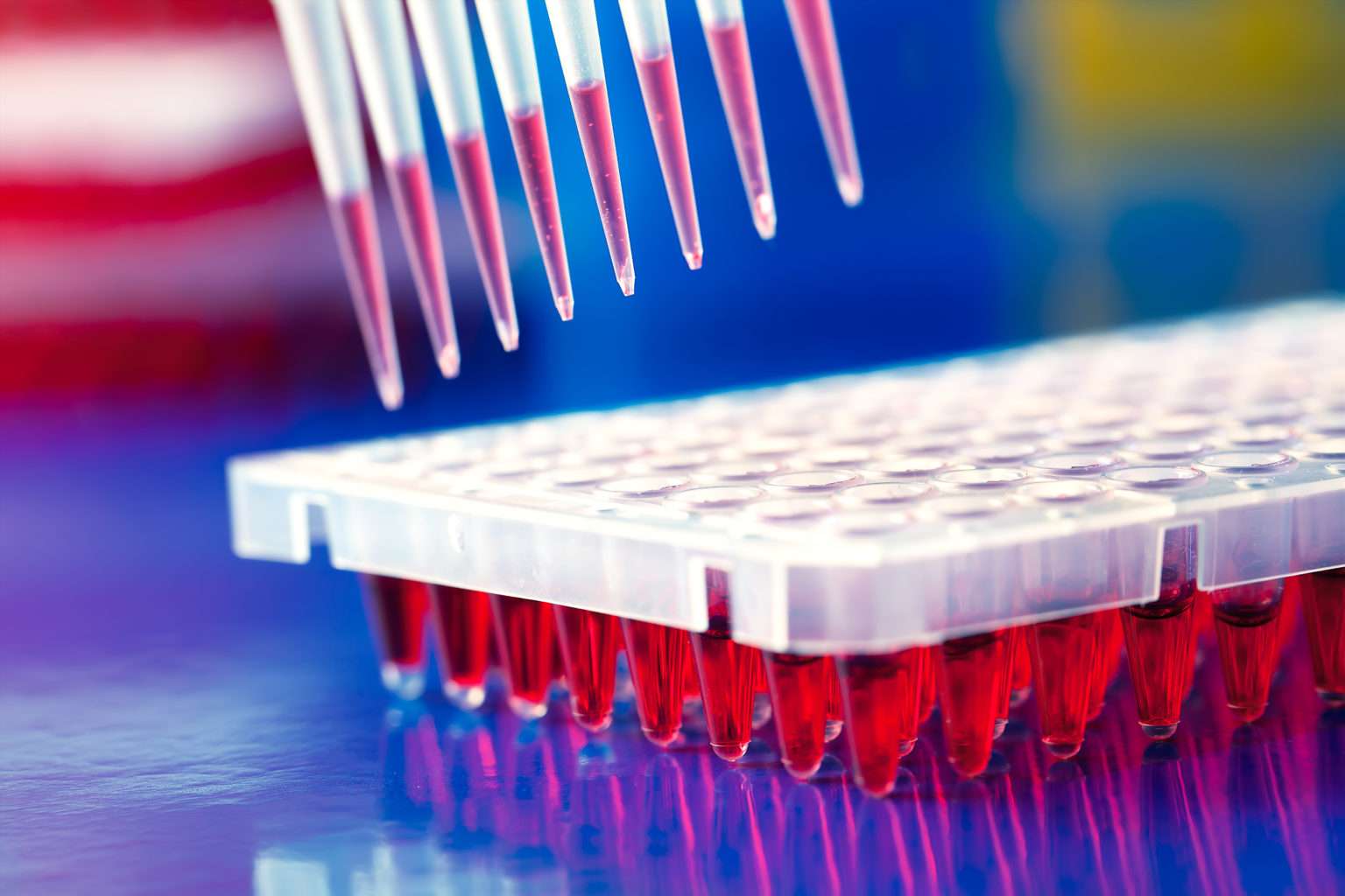 Learning Center | Intro to Immunology and Immune Sequencing