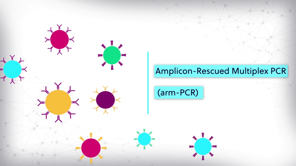 arm-PCR | Pioneers in Sequencing the Immune Adaptome