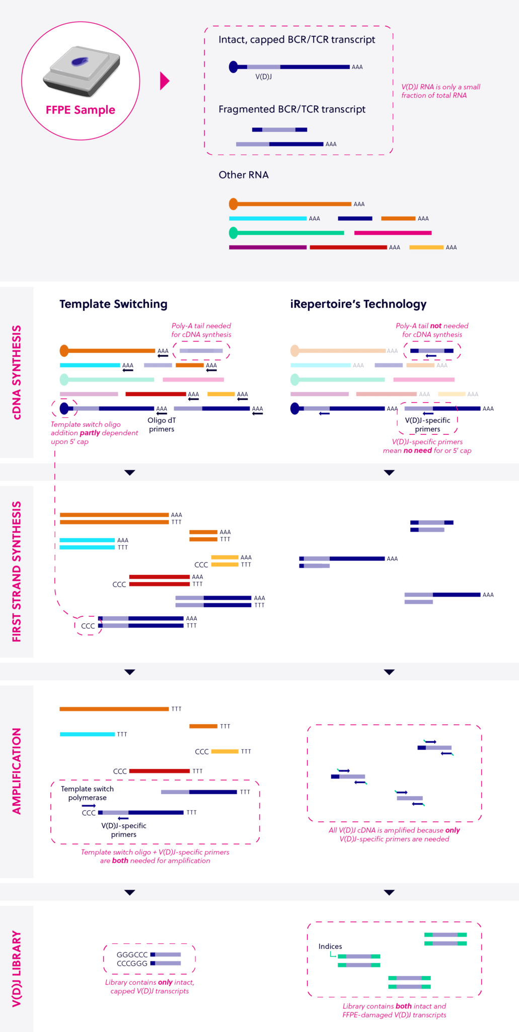 Beyond template switching | Immune Sequencing