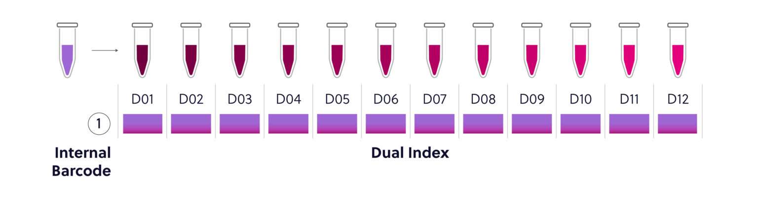 Beyond template switching | Immune Sequencing