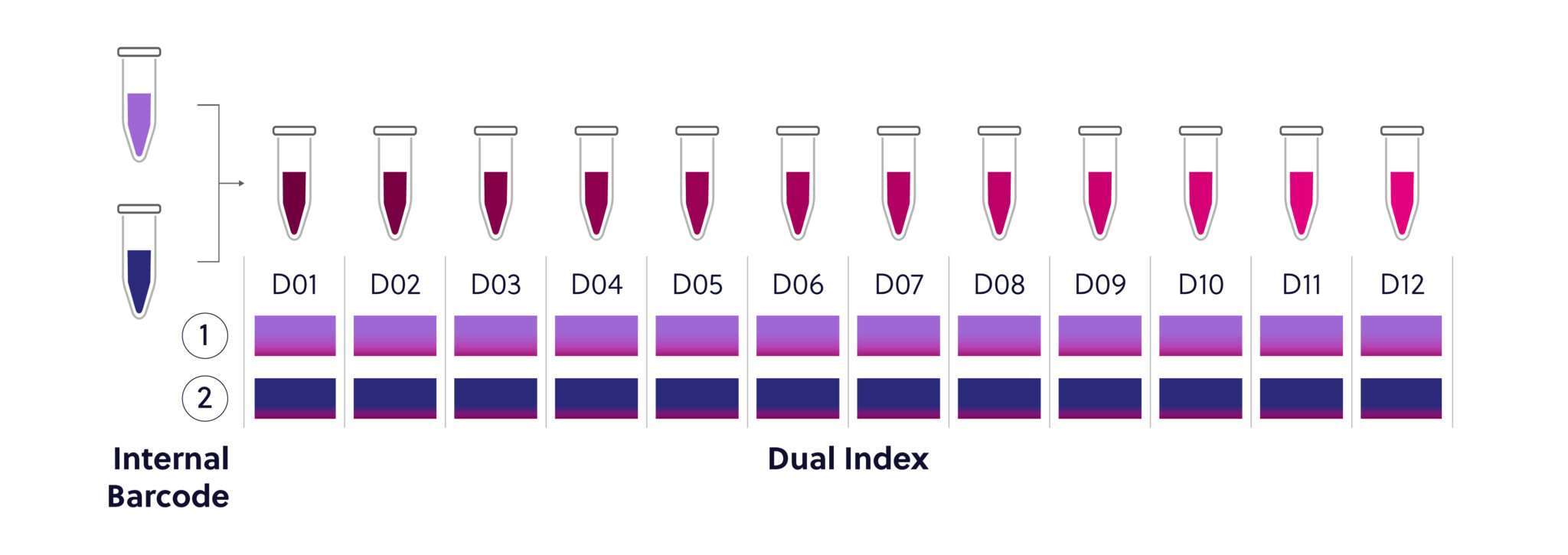 Beyond template switching | Immune Sequencing