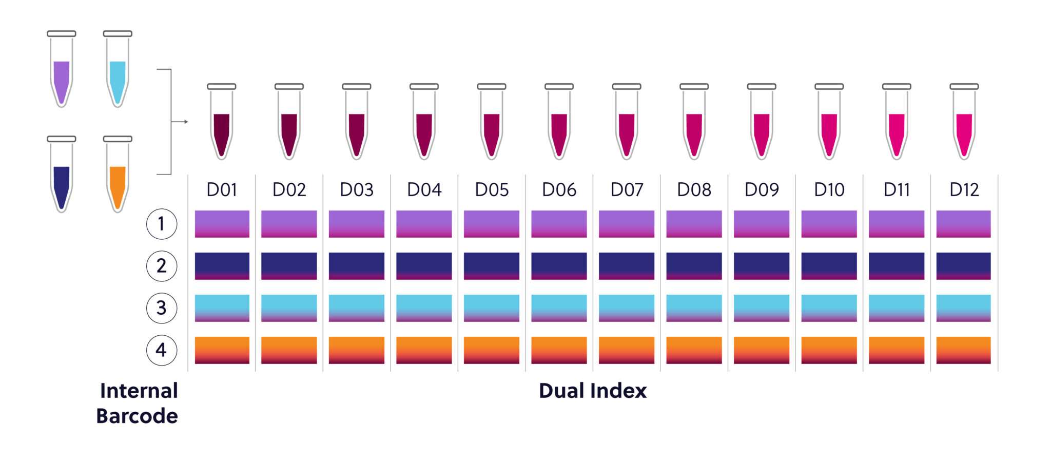 Beyond template switching | Immune Sequencing