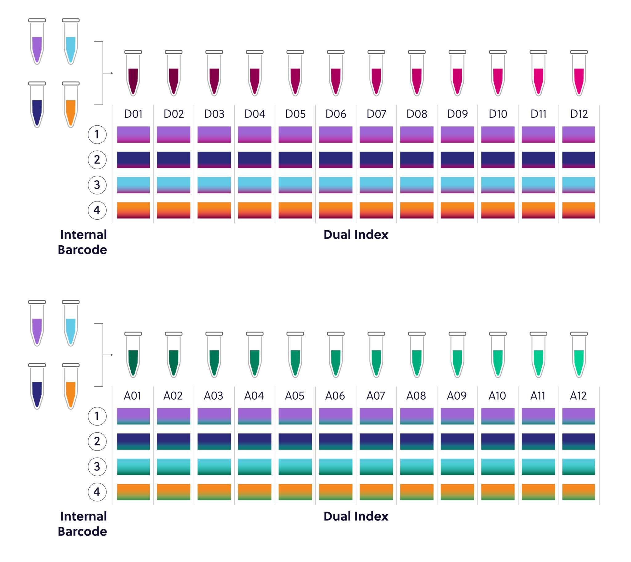 Beyond template switching | Immune Sequencing