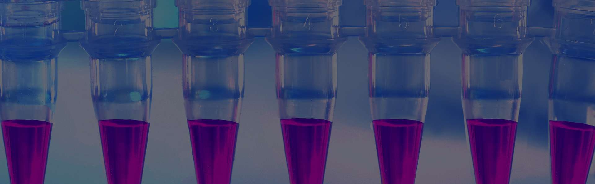 Beyond template switching | Immune Sequencing